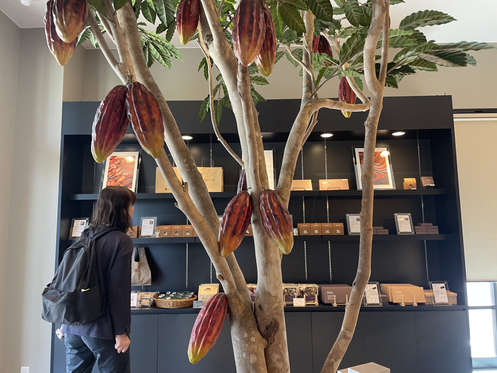 チョコレート好き必見！食べて・飲んで・見て・学んで楽しい「Chocosil（チョコシル）」 | 研学ウォーク | つくば市研究学園をもっと知りたい人のための情報メディア